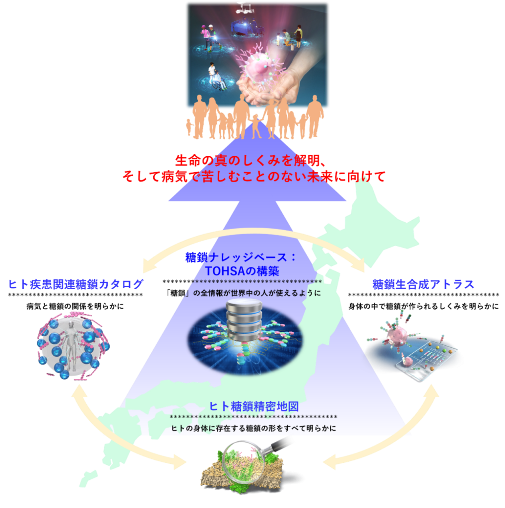 記者会見：「ヒューマングライコームプロジェクト」本格始動！ | 東海国立大学機構 統合糖鎖研究拠点 iGCORE